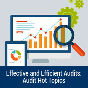 Effective and Efficient Audits: Analytical Procedures – ASK KSA ...